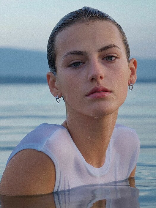 Ariane M ± P Models