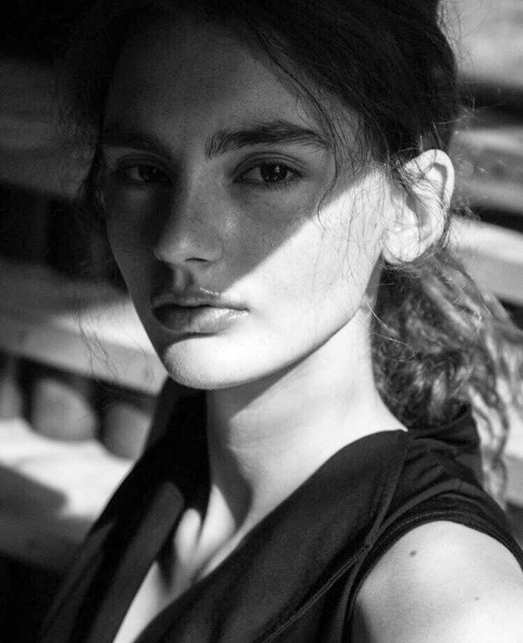 Alina Krupina Traffic Models